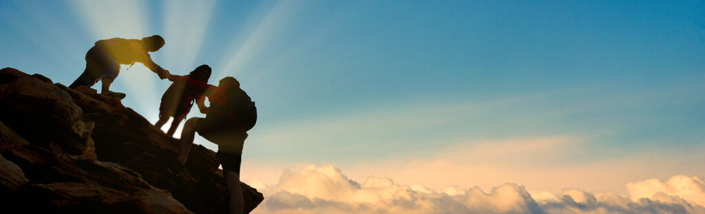 Meet Our Team - Wolf & Associates